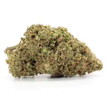 Yoda OG - Happy Tree Buds: Shop Online for Indica